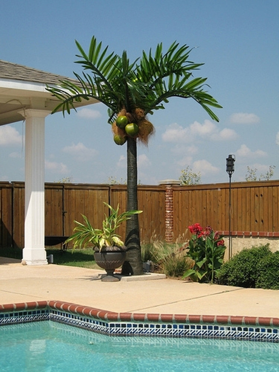 LED Palm Trees – Tiki Escapes